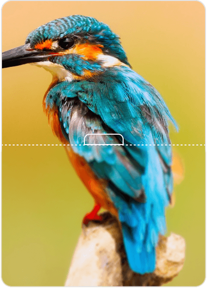 Photo Enhancer – psyoto