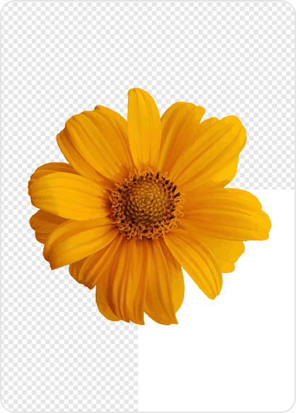 Background Remover – psyoto