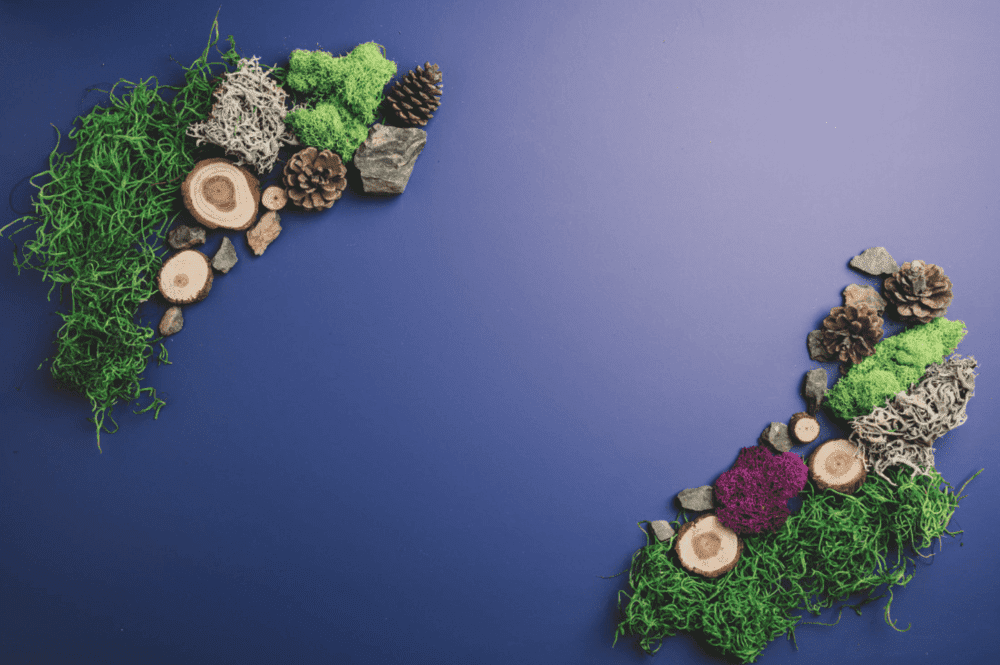 Aesthetic Pictures Essentials: 21 Must-Know Aesthetic Photoshoot Ideas