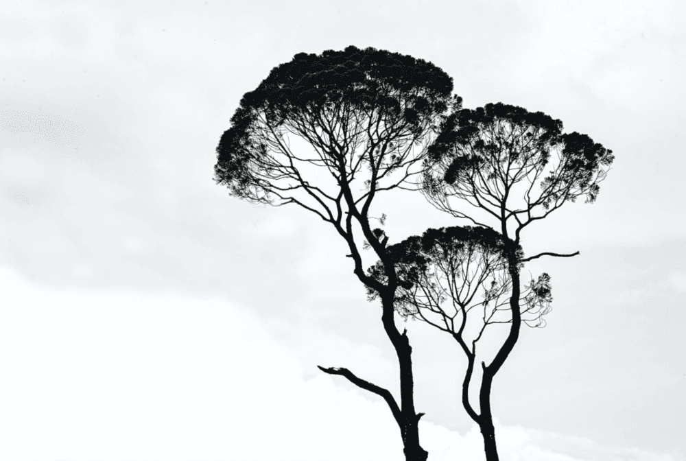 Aesthetic Pictures Essentials: 21 Must-Know Aesthetic Photoshoot Ideas